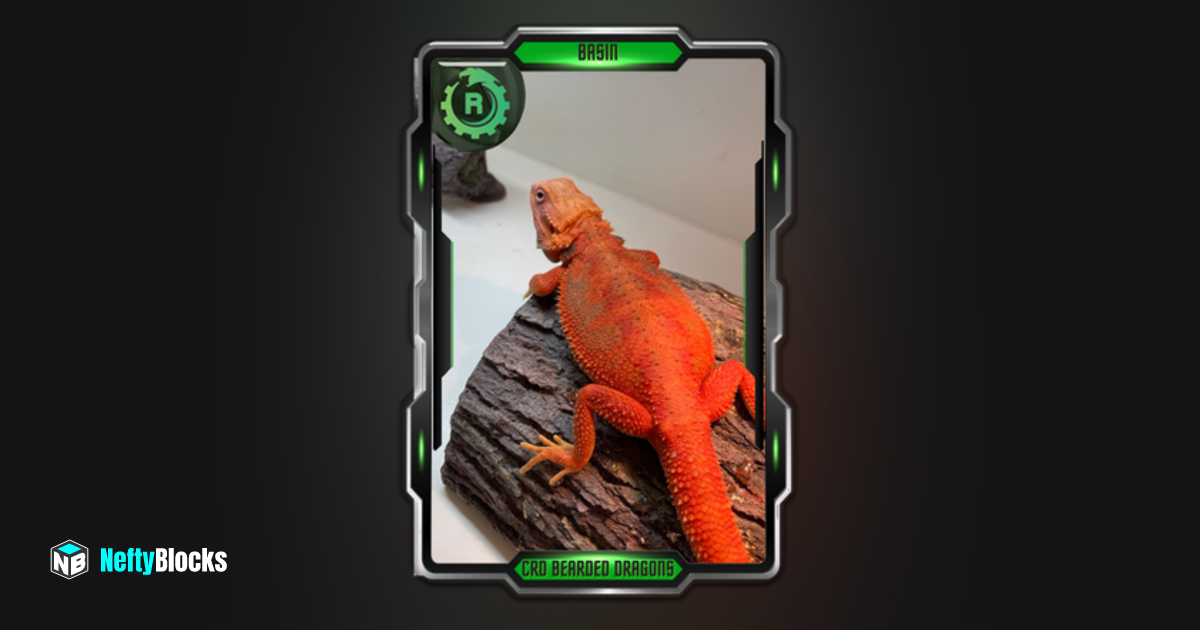 Bearded Dragon | Basin #6 | NeftyBlocks | The #1 Trade to Earn NFT ...