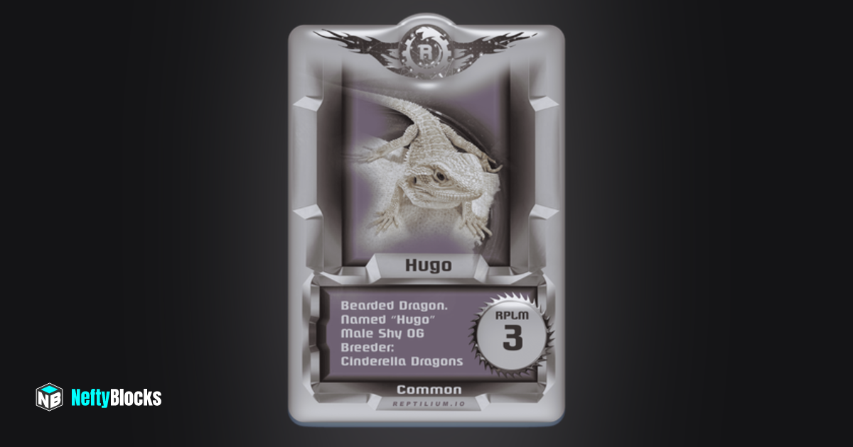 Bearded Dragon | Hugo #193 | NeftyBlocks | The #1 Trade to Earn NFT ...