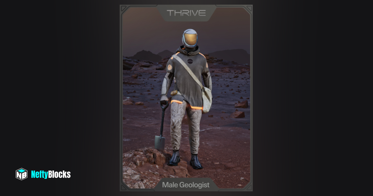 Male Geologist #970 | NeftyBlocks | The #1 Trade to Earn NFT ...