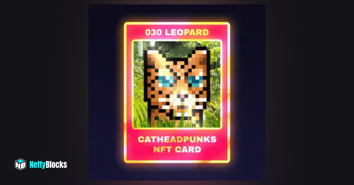 Promo Card Leopard #315 | NeftyBlocks | The #1 Trade to Earn NFT ...