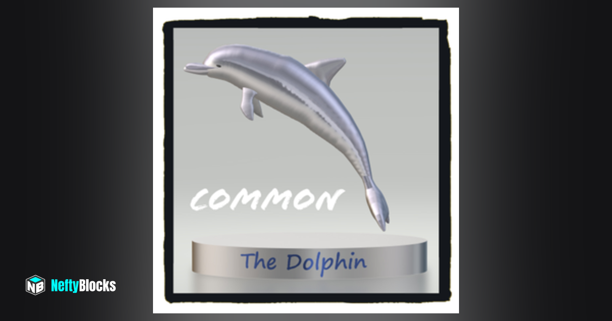 Common Dolphin 🐬 card #942 | NeftyBlocks | The #1 Trade to Earn NFT ...