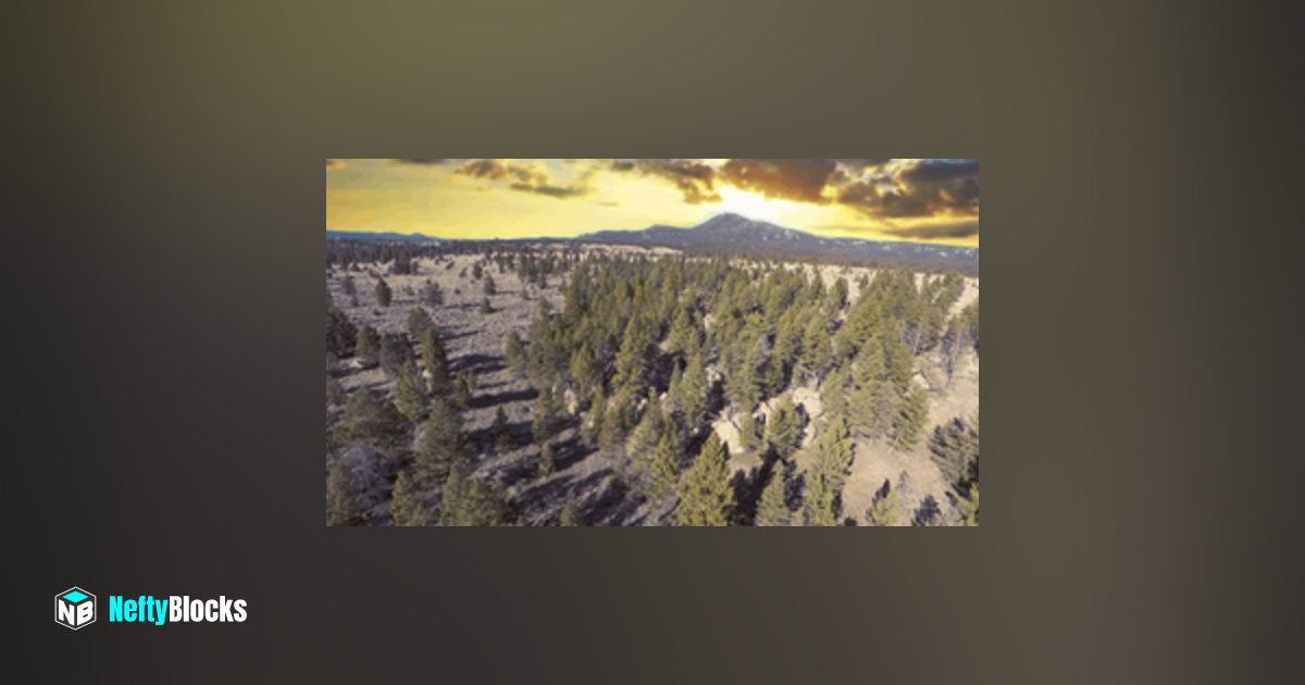 Pipestone Vibes #177 | NeftyBlocks | The #1 Trade to Earn NFT ...