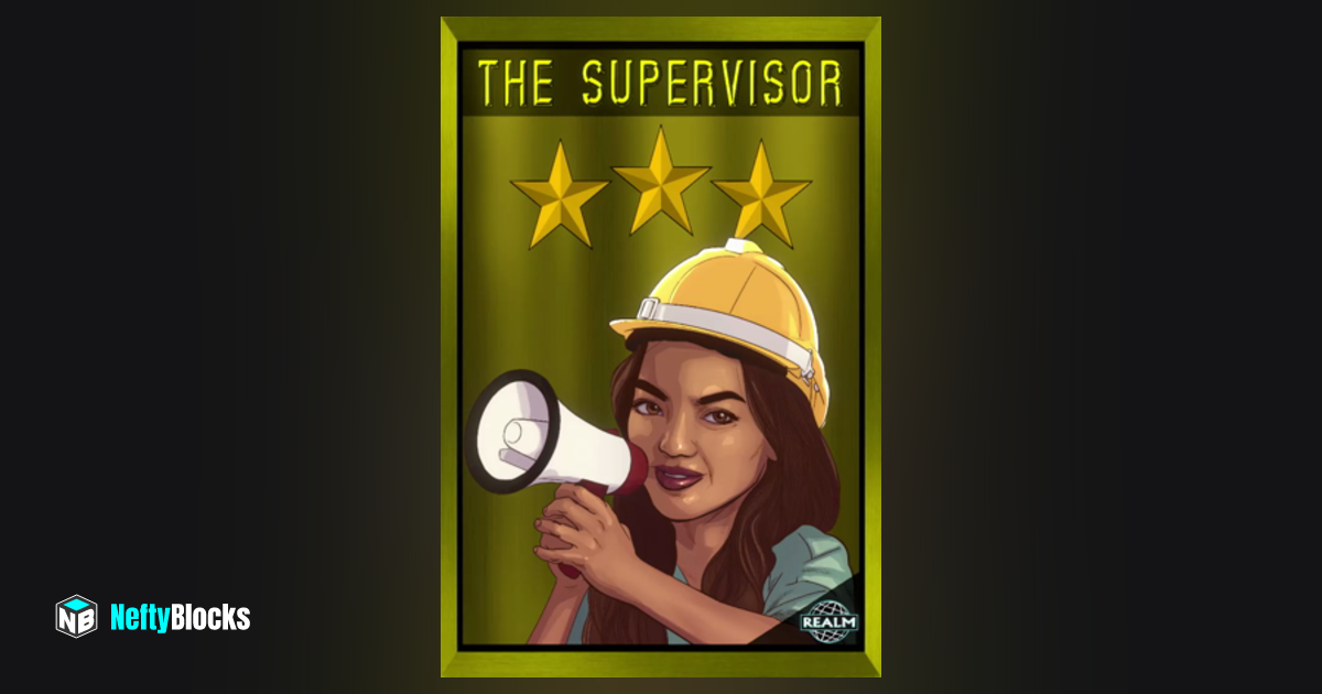 The Supervisor #19 | NeftyBlocks | The #1 Trade to Earn NFT Marketplace ...