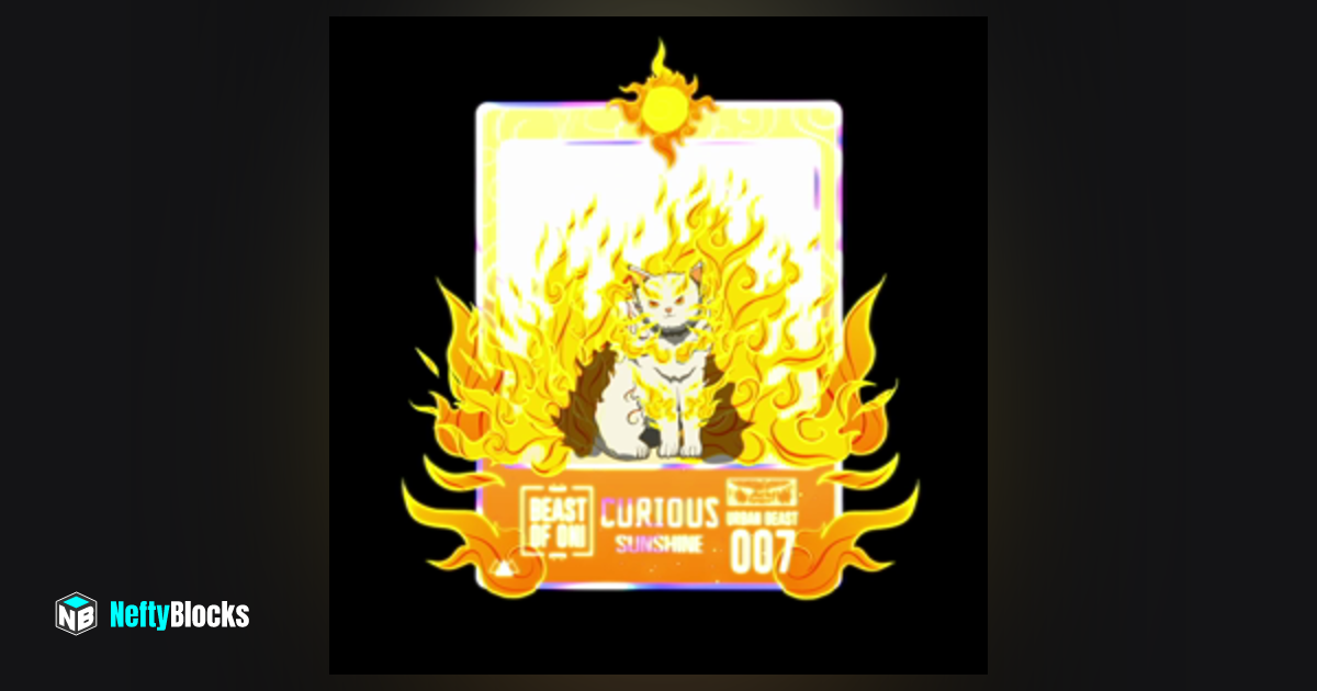 CURIOUS ( Sunshine ) #49 | NeftyBlocks | The #1 Trade to Earn NFT ...