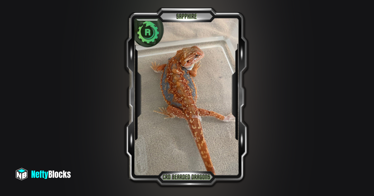 Bearded Dragon | Sapphire #21 | NeftyBlocks | The #1 Trade to Earn NFT ...