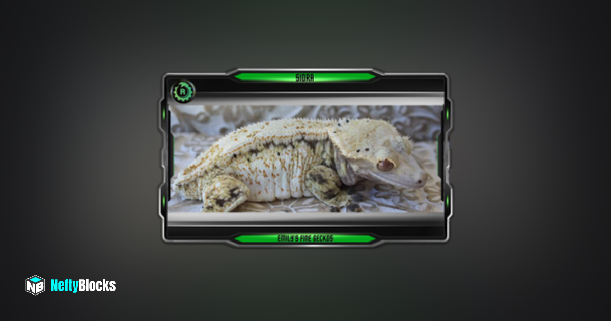 Crested Gecko | Sidra #41 | NeftyBlocks | The #1 Trade to Earn NFT ...