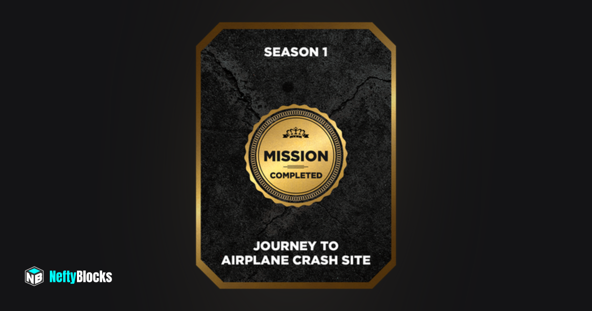 Journey to Airplane Crash Site - Token #293 | NeftyBlocks | The #1 ...