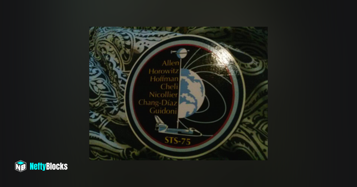 NASA STS-75 TETHER INCIDENT OFFICIAL PATCH! REAL LIFE Photo! #1 ...