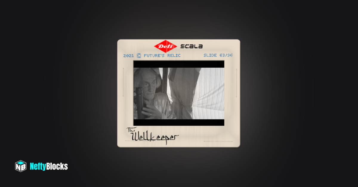 Defi Scala Slide #63 #24 | NeftyBlocks | The #1 Trade to Earn NFT ...