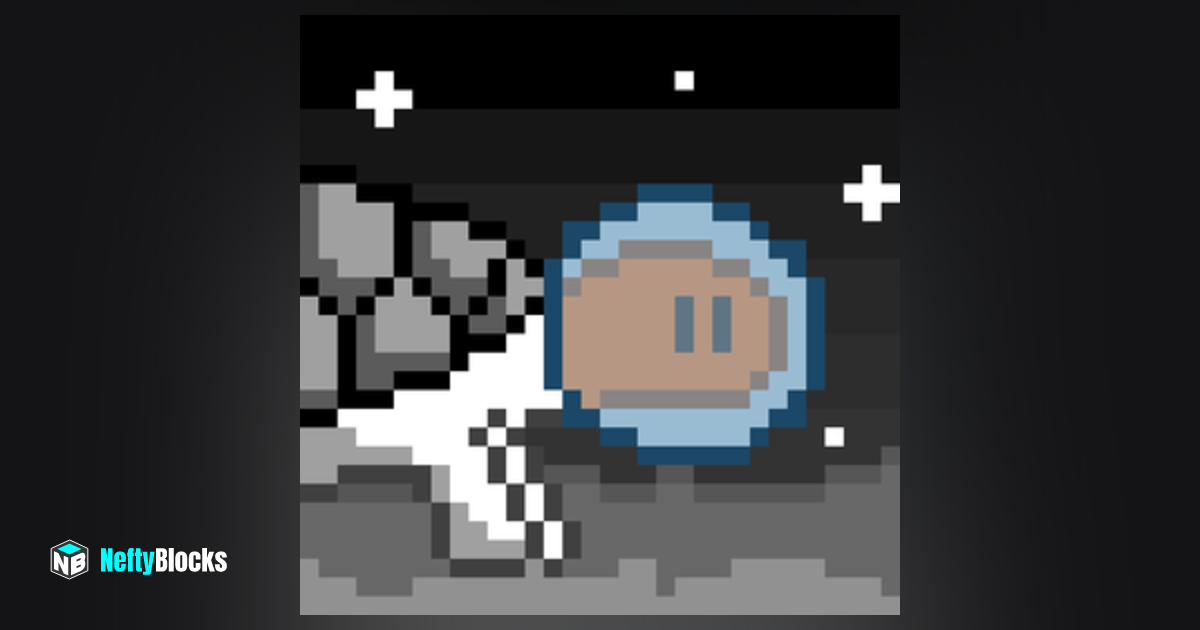 #06 - Space Turtle - Tessie the Turtle #162 | NeftyBlocks | The #1 ...