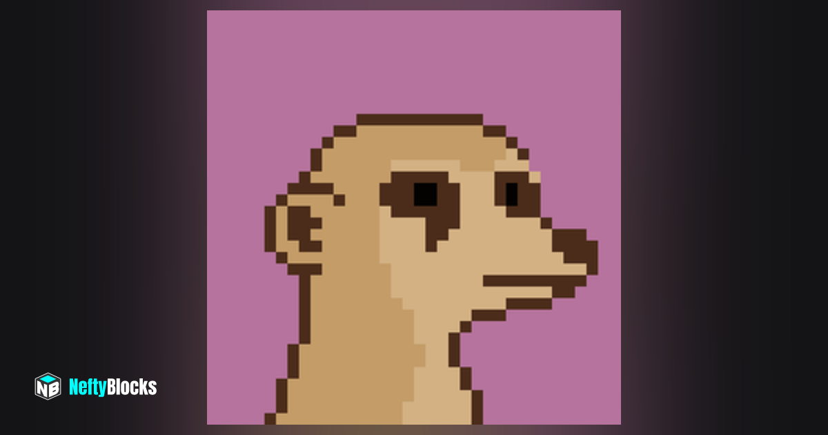 Micah the Meerkat - The Original | NeftyBlocks | The #1 Trade to Earn ...