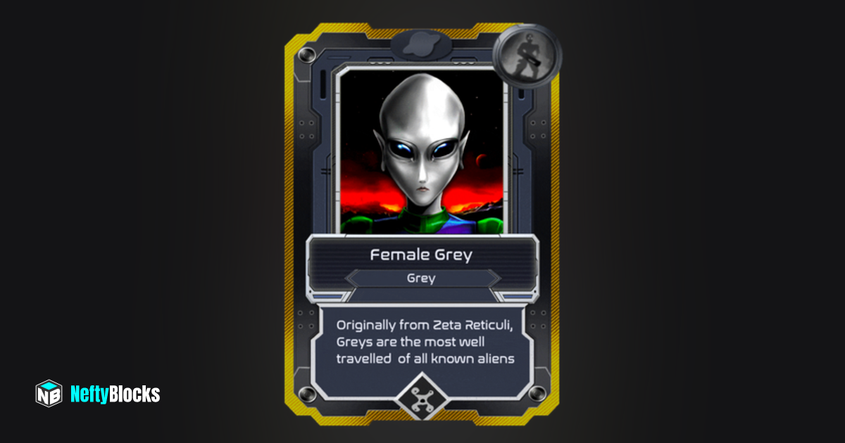 Female Grey #158 | NeftyBlocks | The #1 Trade to Earn NFT Marketplace ...