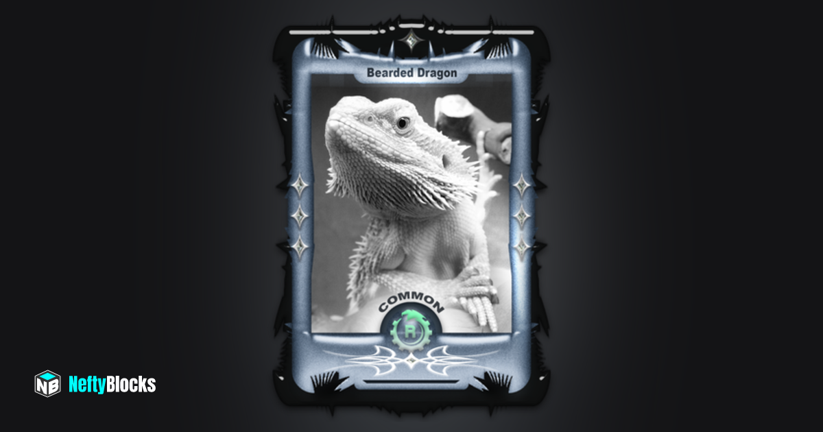 Bearded Dragon #510 | NeftyBlocks | The #1 Trade to Earn NFT ...