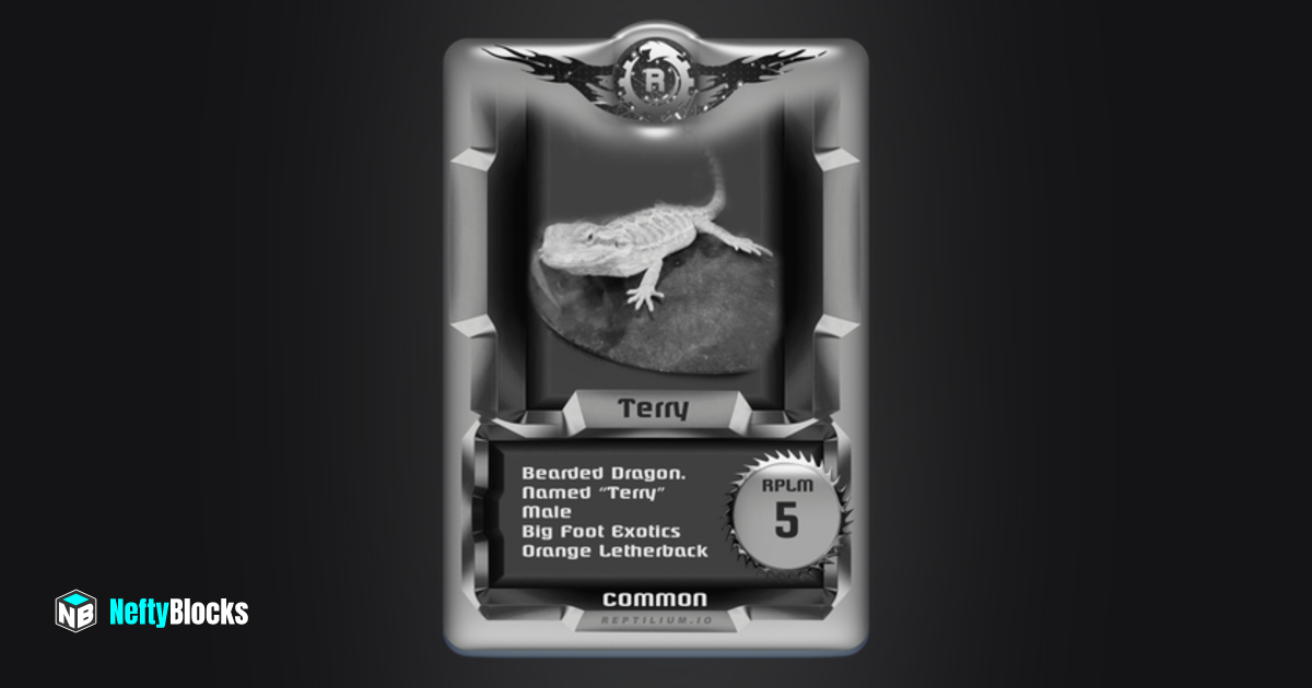 Bearded Dragon | Terry #167 | NeftyBlocks | The #1 Trade to Earn NFT ...