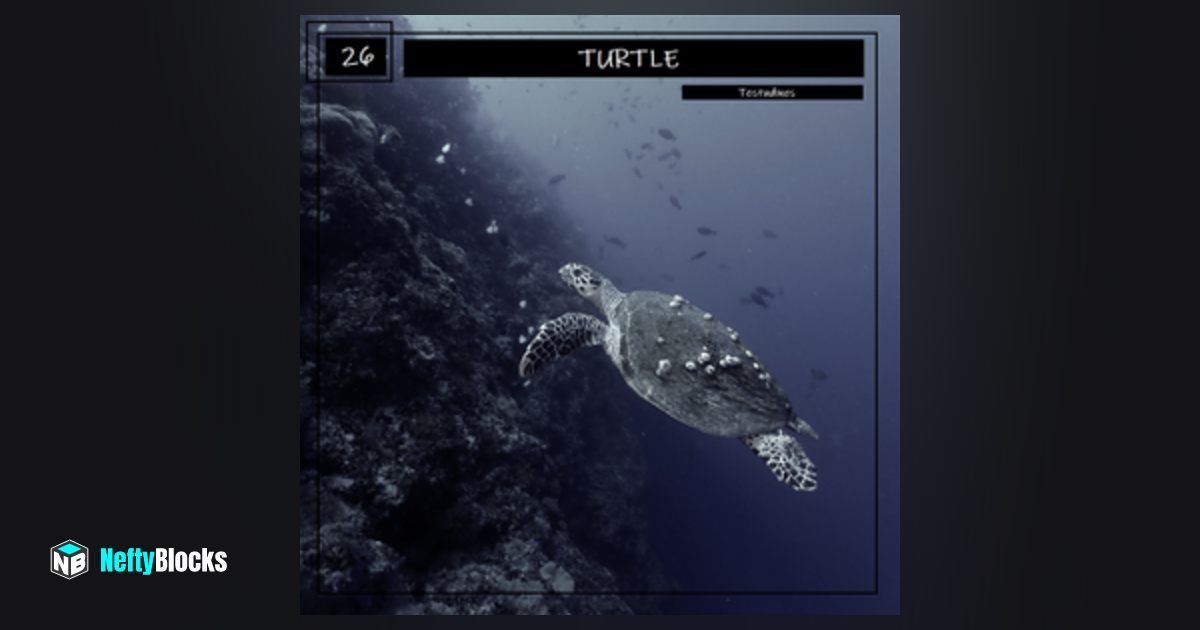 26 TURTLE | NeftyBlocks | The #1 Trade to Earn NFT Marketplace on WAX