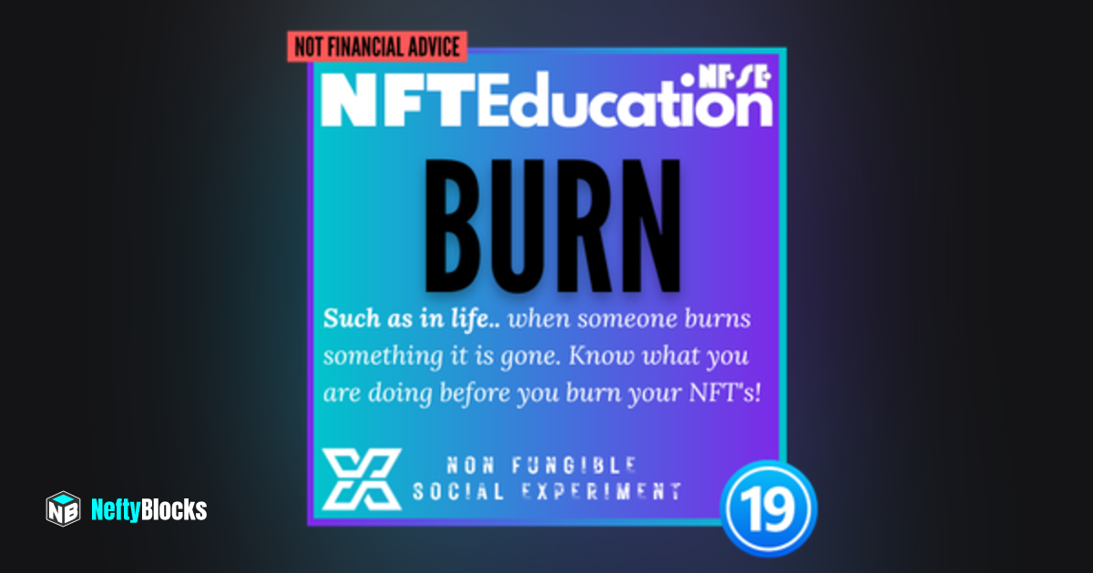 NFT Education 19 Burn #217 | NeftyBlocks | The #1 Trade to Earn NFT ...