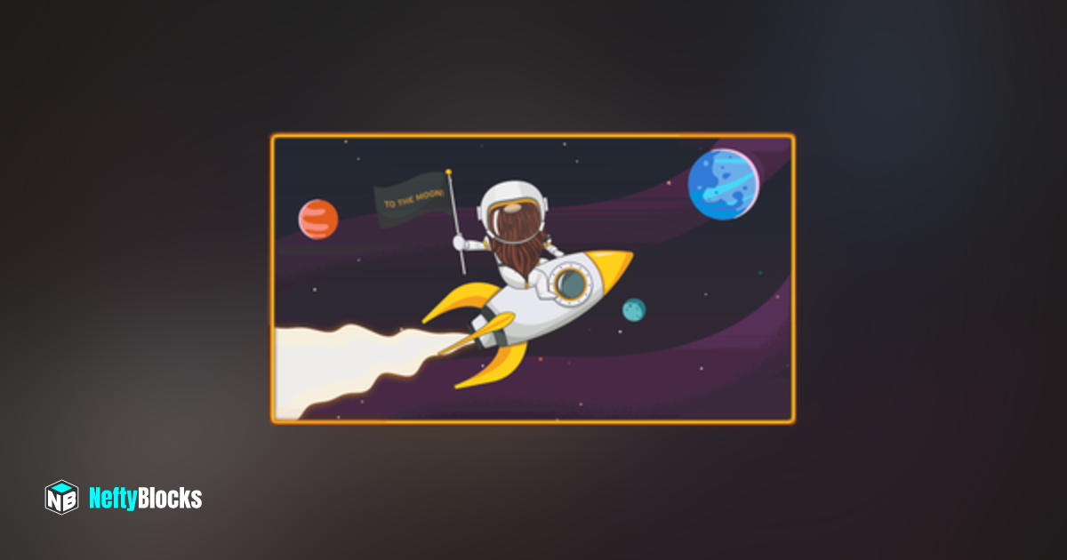 Gnome on Rocket #24 | NeftyBlocks | The #1 Trade to Earn NFT ...