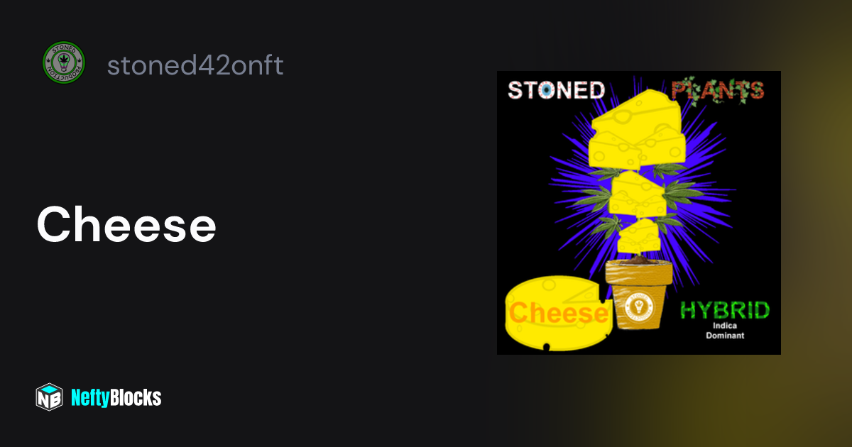 Cheese - stoned42onft on NeftyBlocks | The #1 Trade to Earn NFT ...